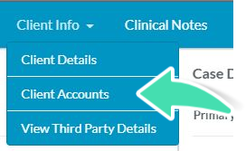 Accessing the Client Accounts Section – Nookal